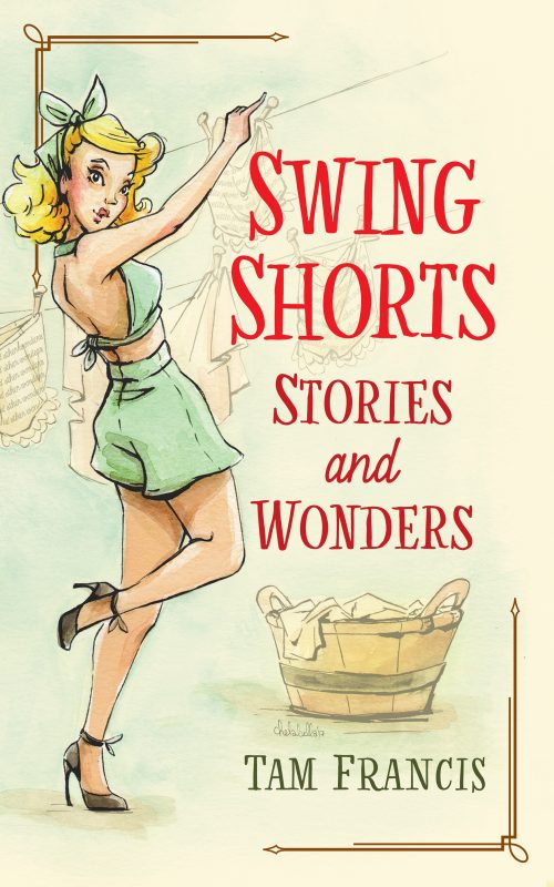 Books & Novels - The Girl In The Jitterbug Dress